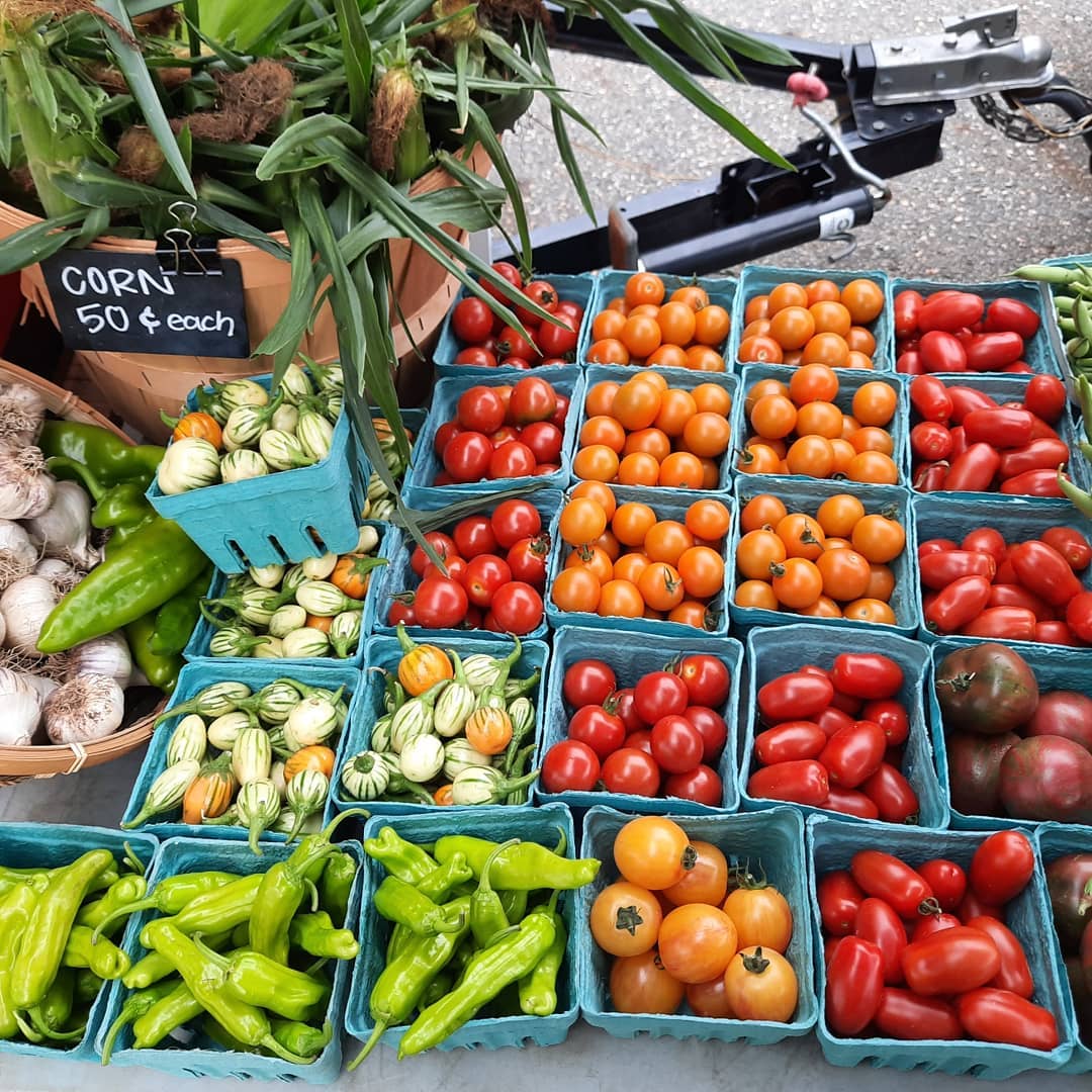 Healthy Incentives Program (HIP) - Mill City Grows