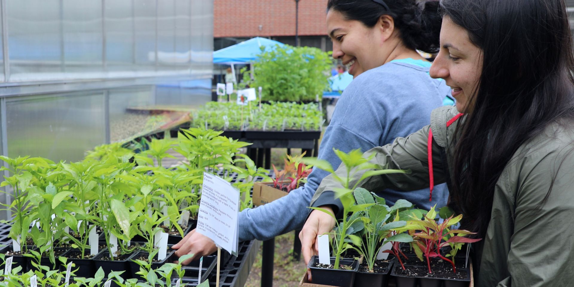 MILL CITY GROWS HOSTS THEIR ANNUAL SPRING PLANT SALE ON SATURDAY, MAY ...