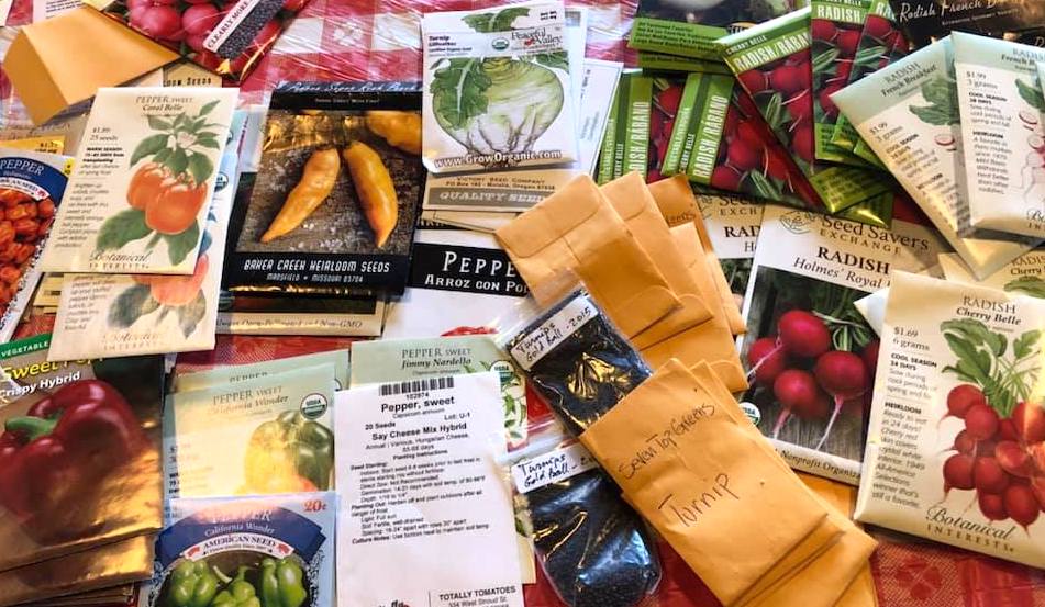 MILL CITY GROWS HOSTS 8TH ANNUAL SEED SWAP ON SATURDAY, MARCH 18 - Mill ...